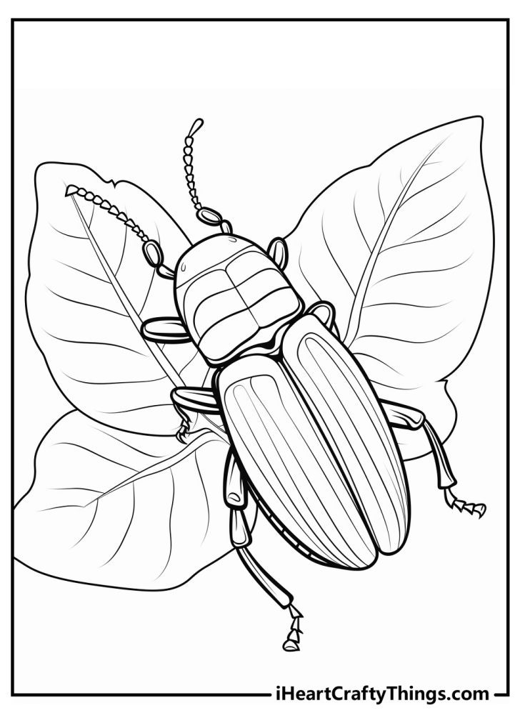 15 Bug Coloring Pages (100% Free Printables)