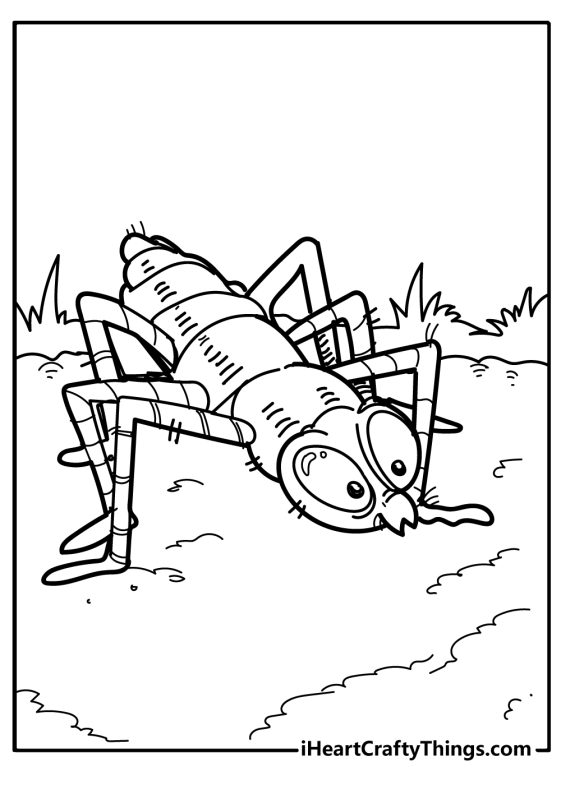 15 Bug Coloring Pages (100% Free Printables)