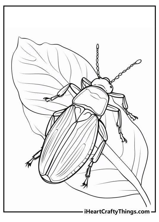 15 Bug Coloring Pages (100% Free Printables)