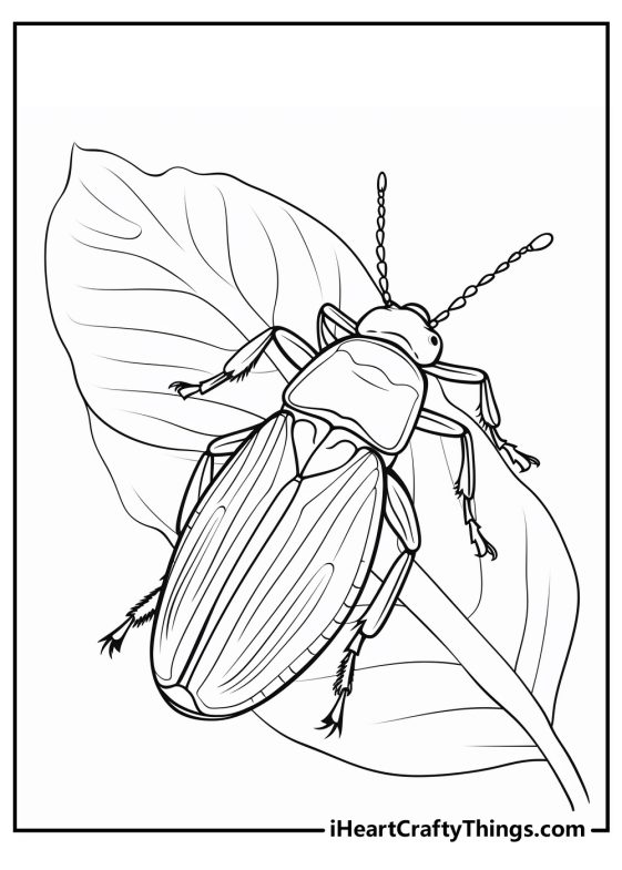 15 Bug Coloring Pages (100% Free Printables)