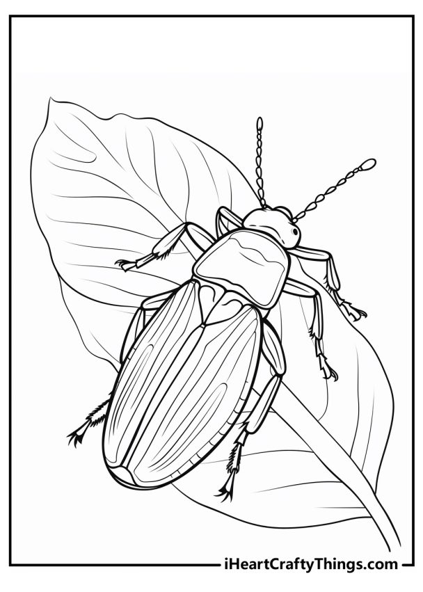 15 Bug Coloring Pages (100% Free Printables)