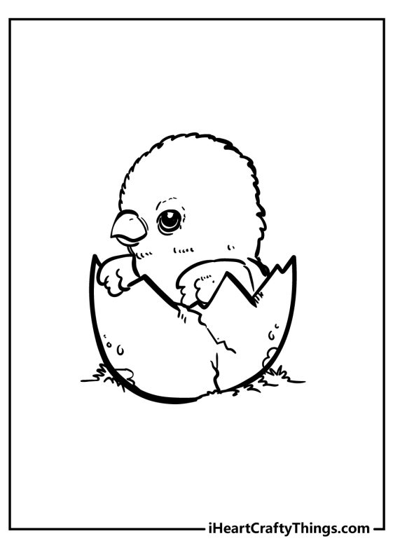 35 Chicken Coloring Pages (100% Free Printables)