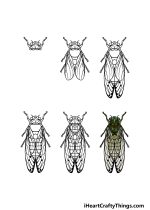 Cicada Drawing - How To Draw A Cicada Step By Step