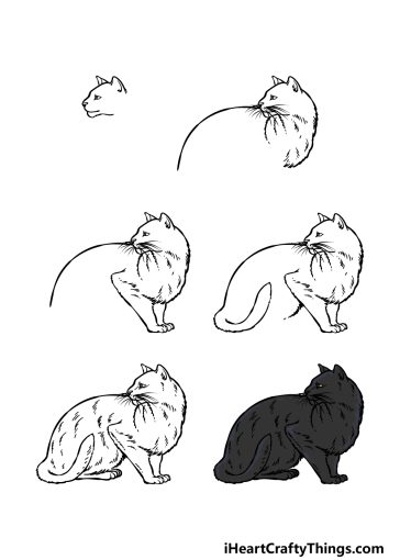 Black Cat Drawing - How To Draw A Black Cat Step By Step