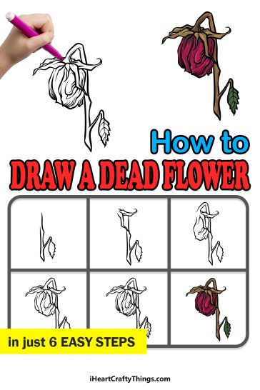 Dead Flower Drawing - How To Draw A Dead Flower Step By Step