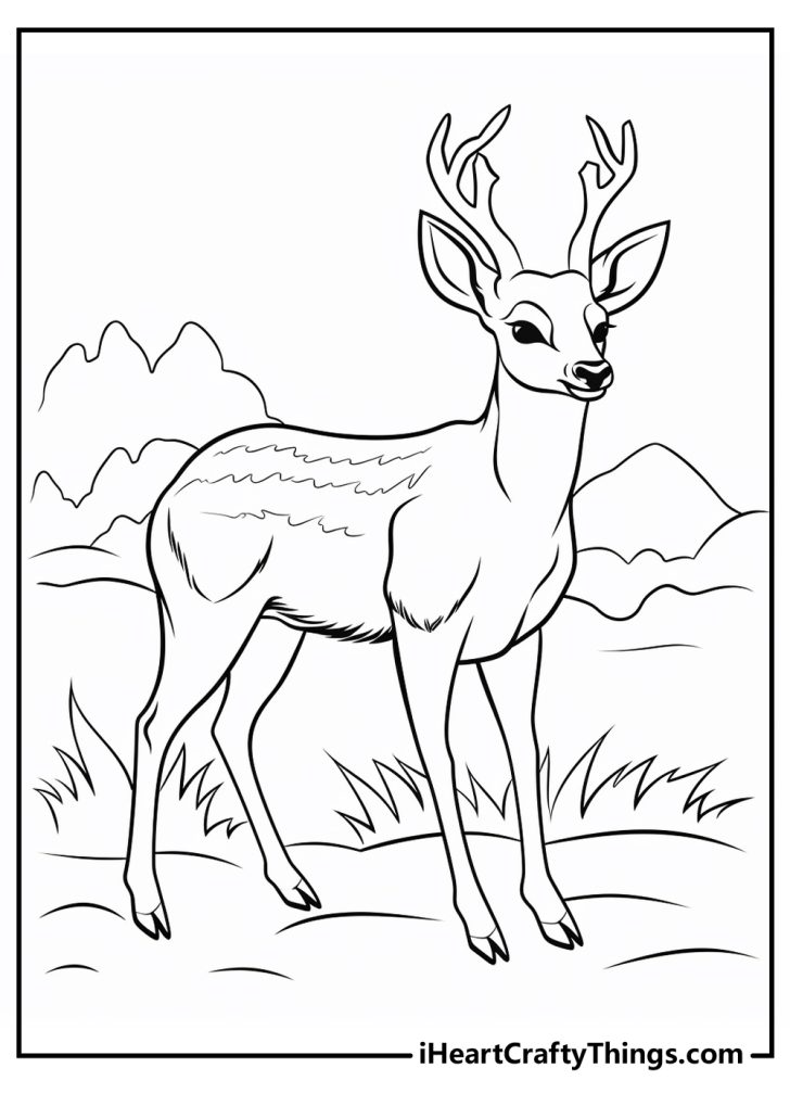 15 Deer Coloring Pages (100% Free Printables)