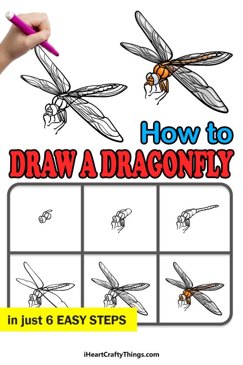 Dragonfly Drawing - How To Draw A Dragonfly Step By Step