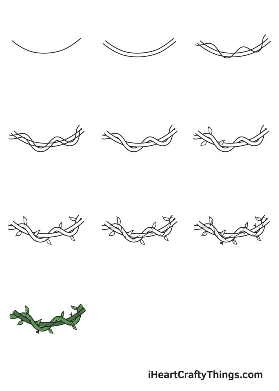 Vines Drawing - How To Draw Vines Step By Step