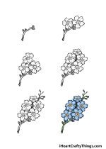 Forget Me Not Drawing - How To Draw A Forget Me Not Step By Step