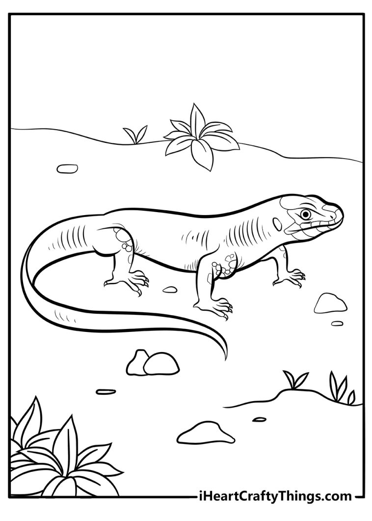 15 Free Lizard Coloring Pages: Printable Cute, Realistic PDF