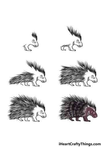 Porcupine Drawing - How To Draw A Porcupine Step By Step