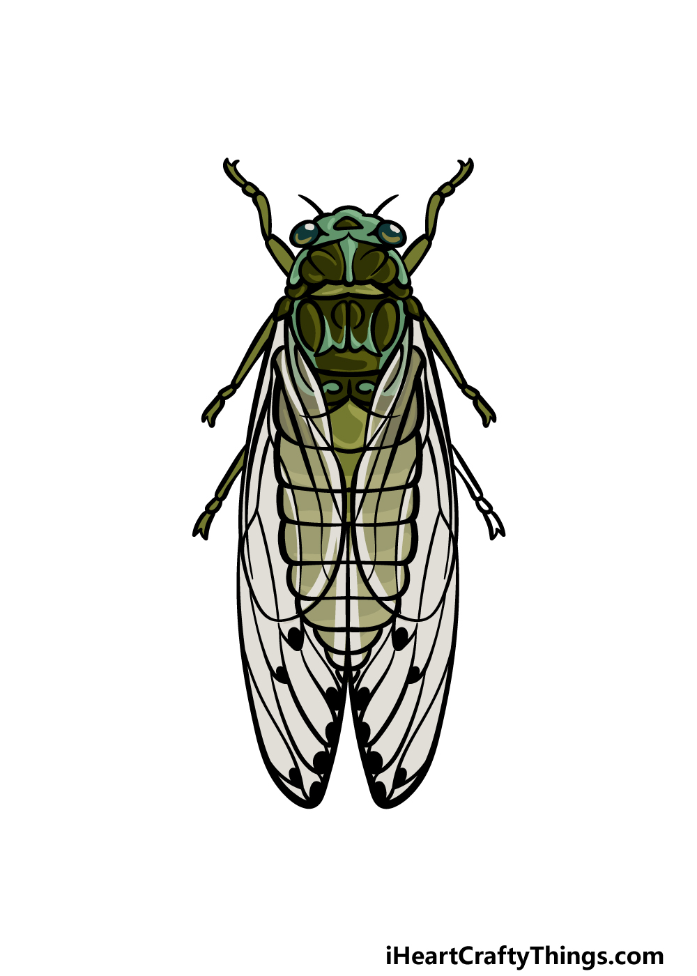 Cicada Drawing - How To Draw A Cicada Step By Step