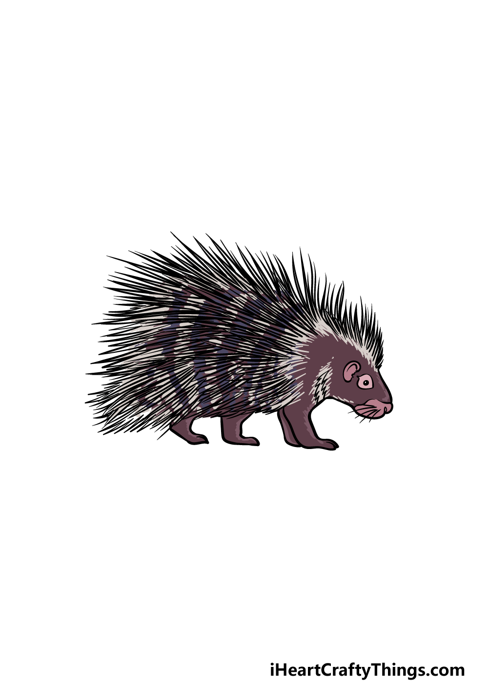 Porcupine Drawing - How To Draw A Porcupine Step By Step
