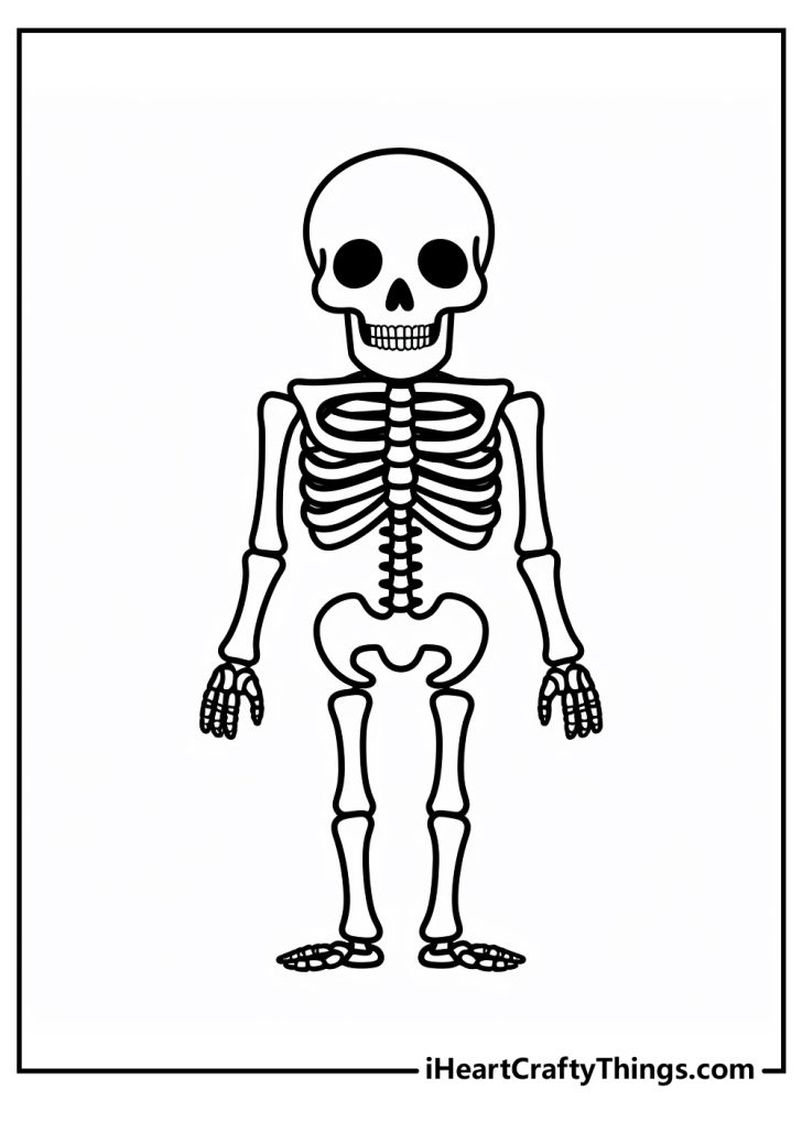 Skeleton Coloring Pages (100% Free Printables)