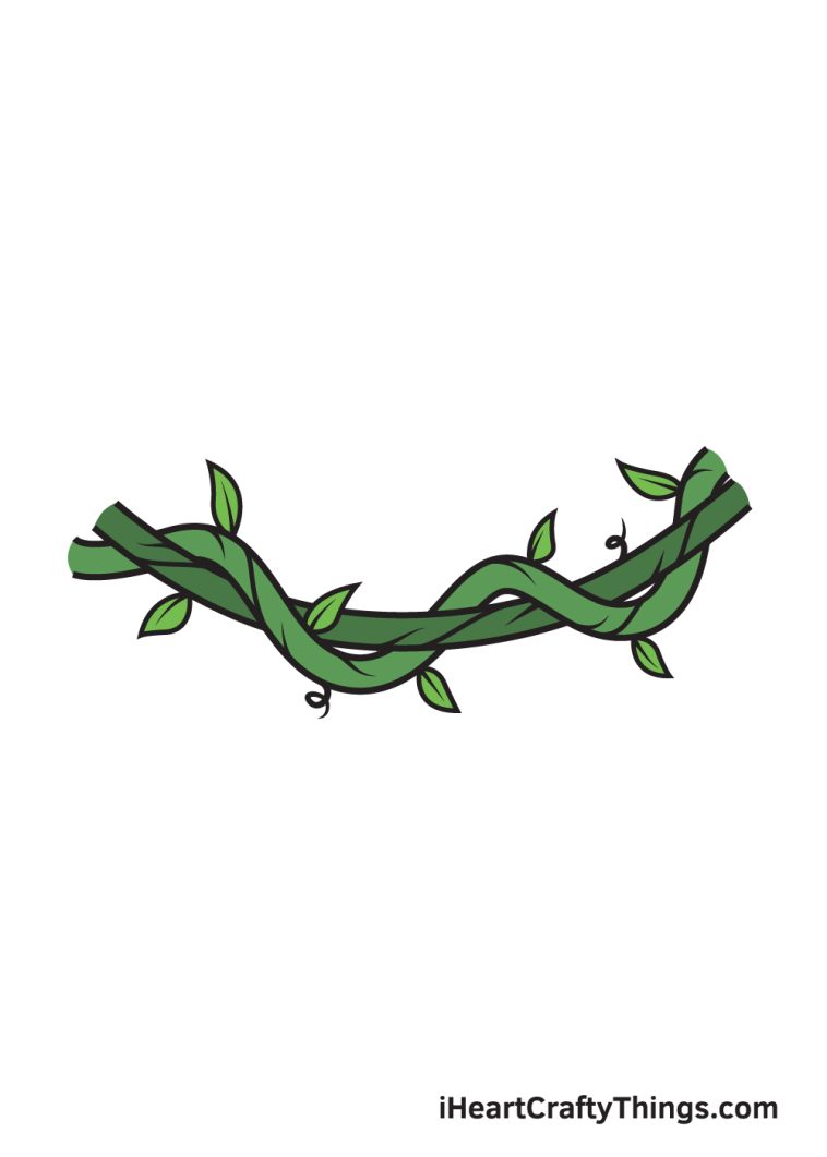 Vines Drawing - How To Draw Vines Step By Step