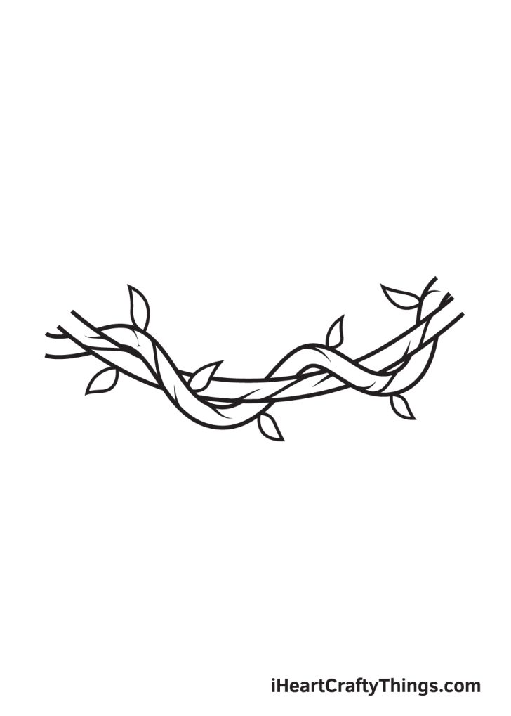 Vines Drawing - How To Draw Vines Step By Step
