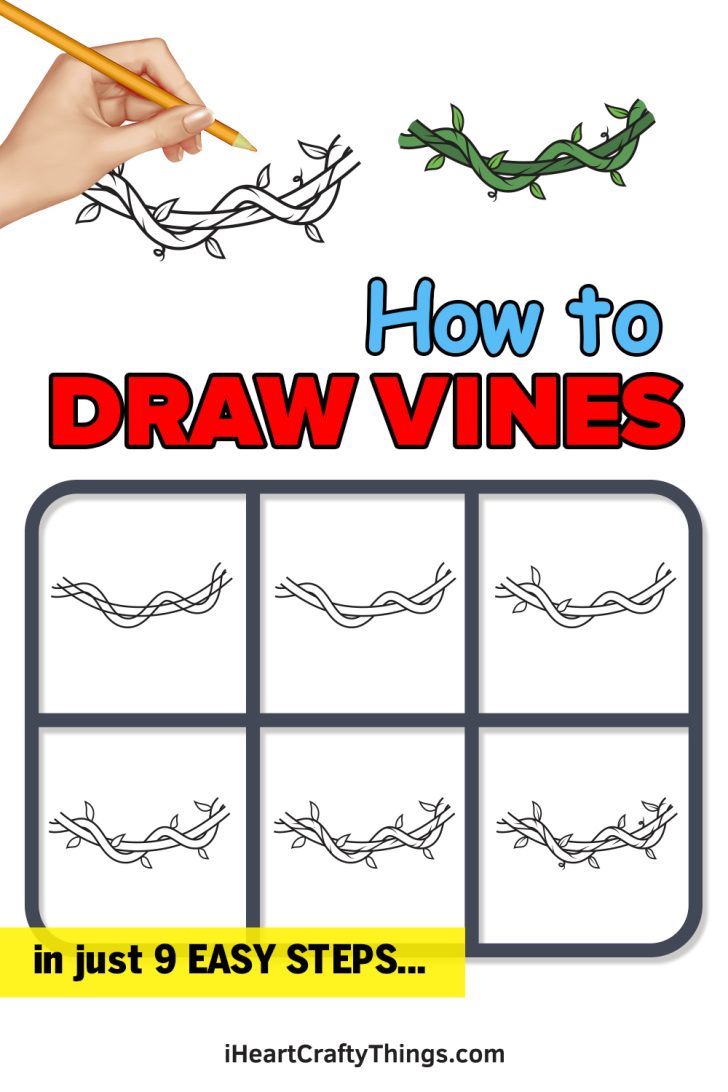 Vines Drawing - How To Draw Vines Step By Step