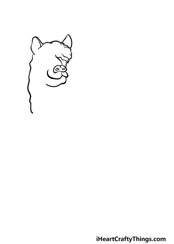 Alpaca Drawing - How To Draw An Alpaca Step By Step