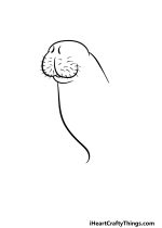 Manatee Drawing - How To Draw A Manatee Step By Step