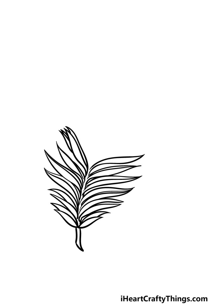 Palm Leaf Drawing - How To Draw A Palm Leaf Step By Step