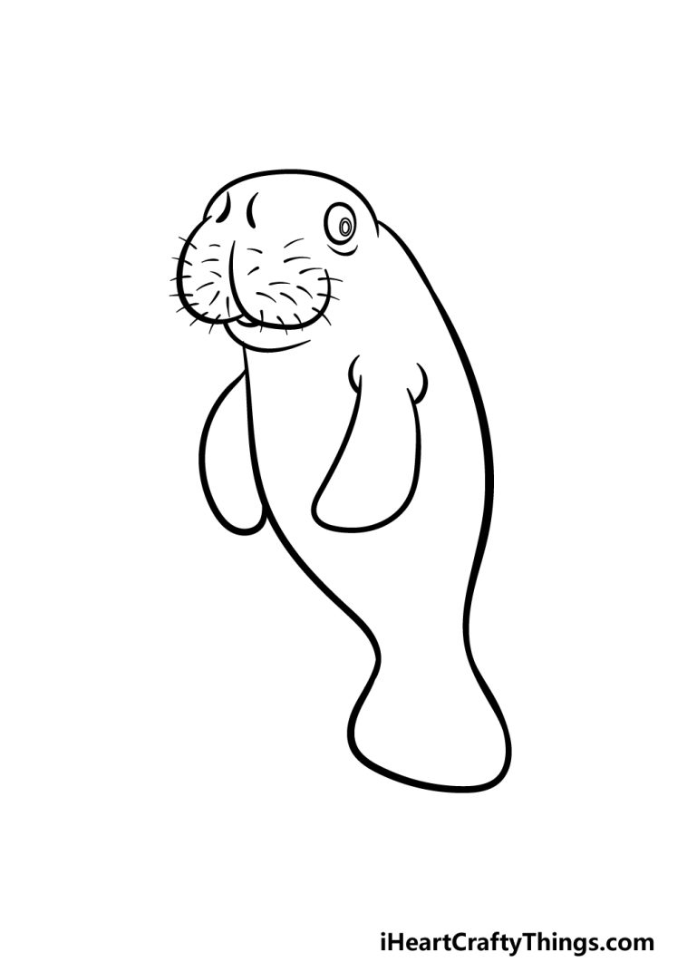 Manatee Drawing - How To Draw A Manatee Step By Step