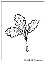 Fall Leaves Coloring Pages (100% Free Printables)