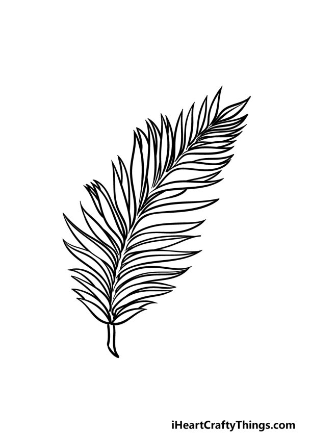 Palm Leaf Drawing - How To Draw A Palm Leaf Step By Step