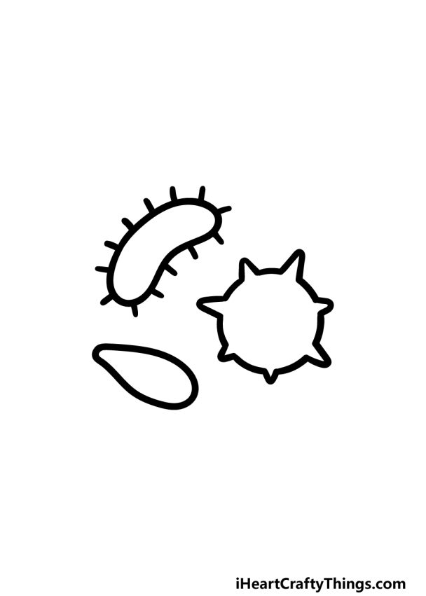 Bacteria Drawing - How To Draw Bacteria Step By Step