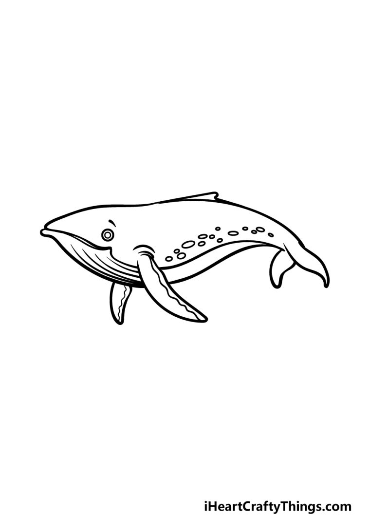 Humpback Whale Drawing - How To Draw A Humpback Whale Step By Step