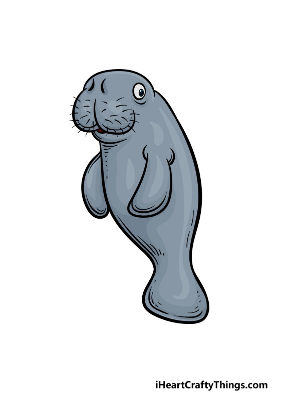 Manatee Drawing - How To Draw A Manatee Step By Step