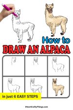 Alpaca Drawing - How To Draw An Alpaca Step By Step