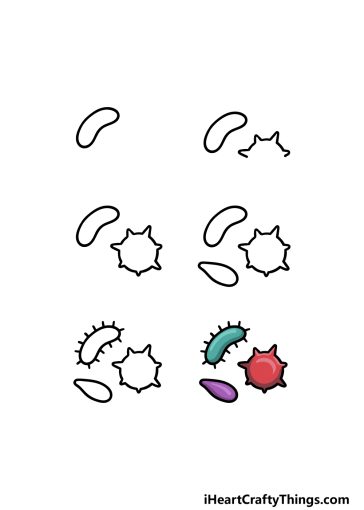 Bacteria Drawing - How To Draw Bacteria Step By Step