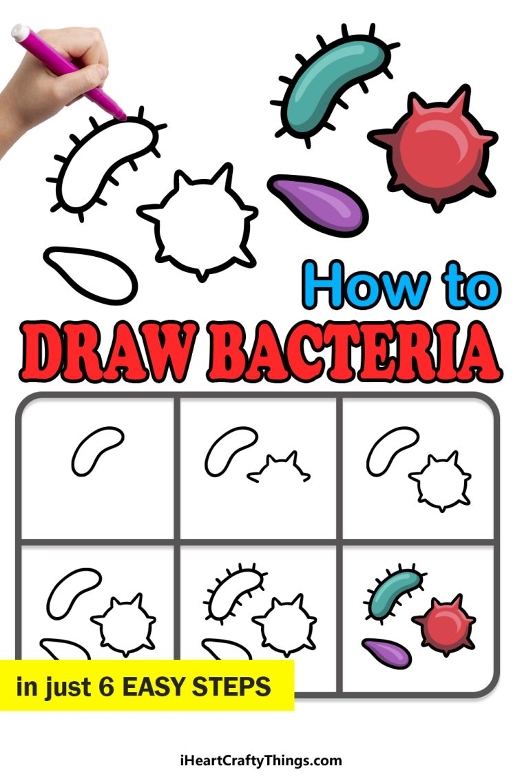 Bacteria Drawing - How To Draw Bacteria Step By Step
