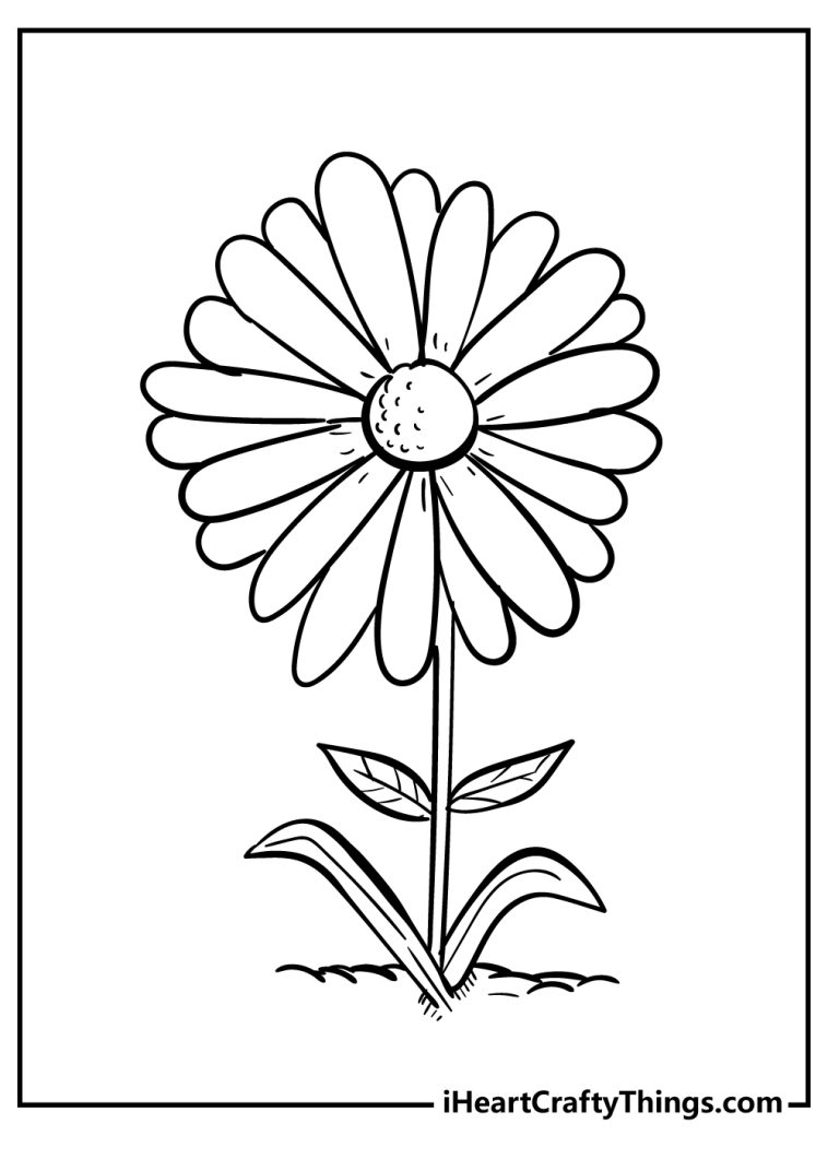 Daisy Coloring Pages (100% Free Printables)
