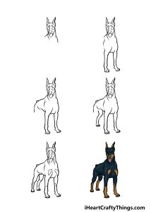 Dobermann Drawing - How To Draw A Dobermann Step By Step