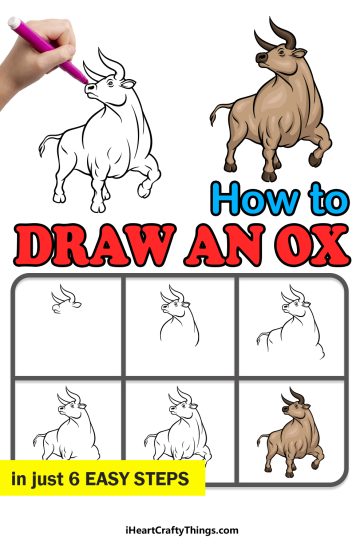 Ox Drawing - How To Draw An Ox Step By Step