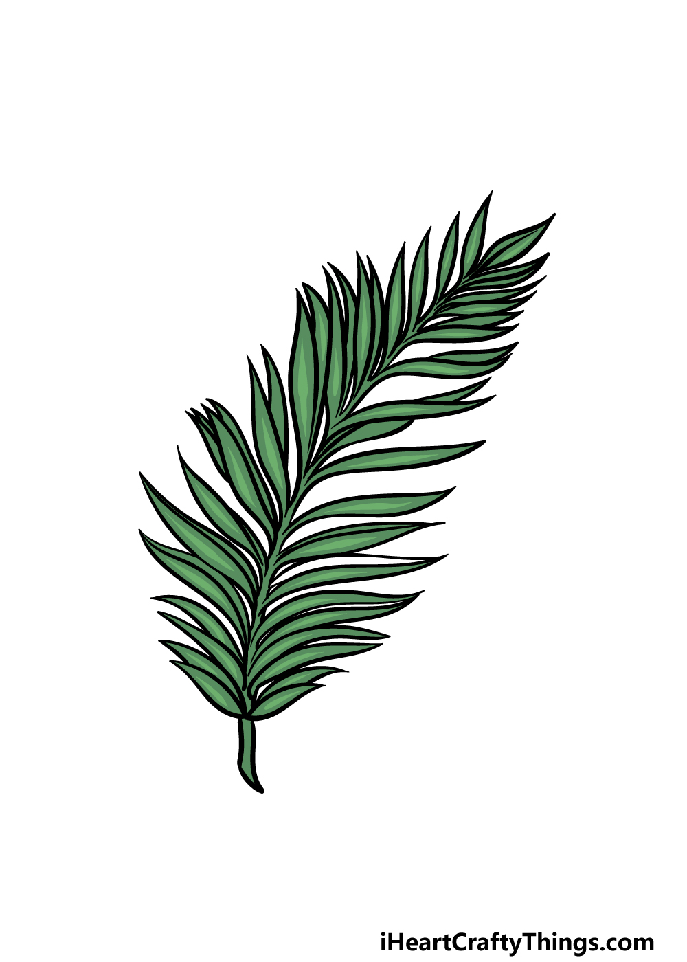 Palm Leaf Drawing - How To Draw A Palm Leaf Step By Step