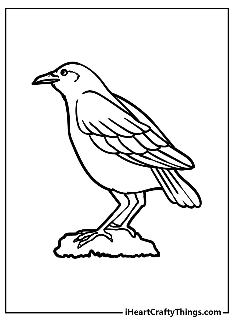 Raven Coloring Pages (100% Free Printables)