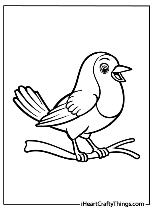 30 Free Robin Coloring Pages (Easy PDF Printables For Kids)