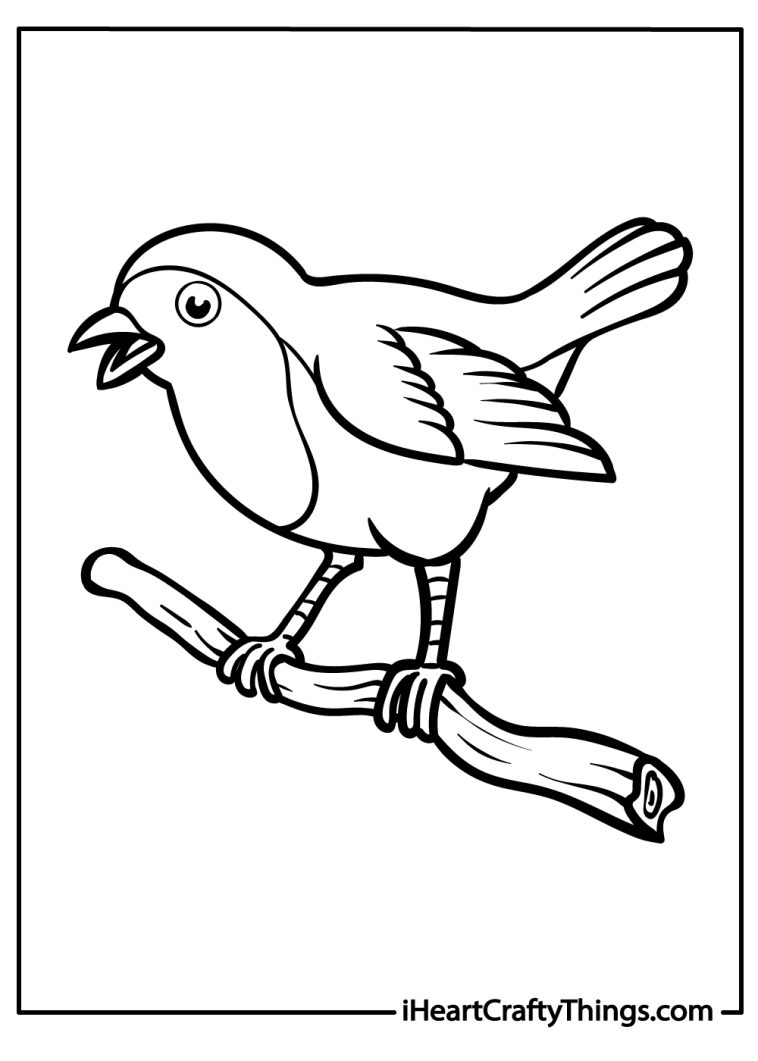 Robin Coloring Pages (100% Free Printables)