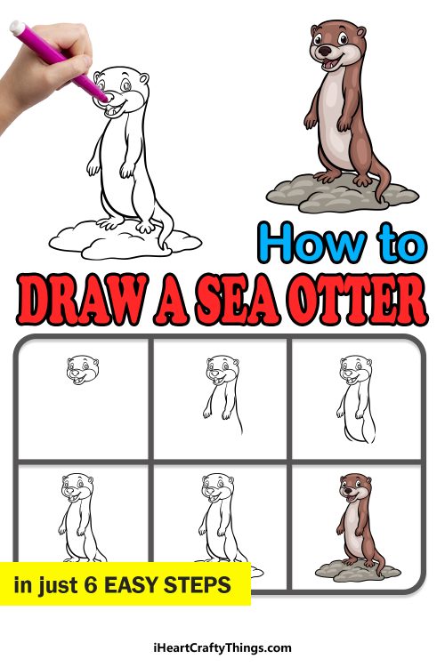 Sea Otter Drawing - How To Draw A Sea Otter Step By Step