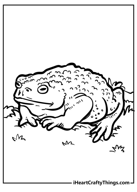 Toad Coloring Pages (100% Free Printables)