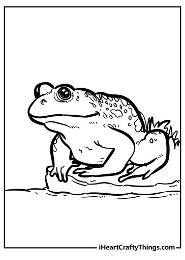 Toad Coloring Pages (100% Free Printables)