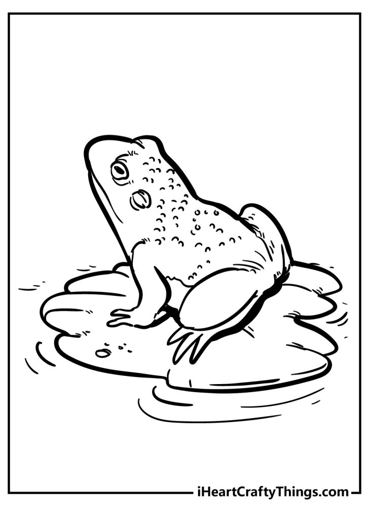 Toad Coloring Pages (100% Free Printables)