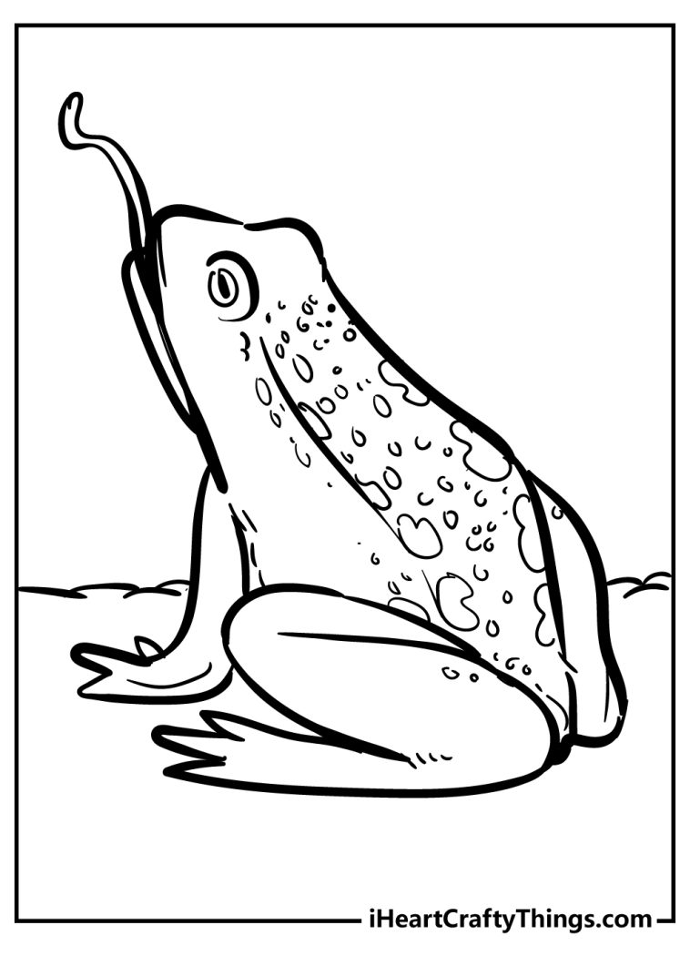 Toad Coloring Pages (100% Free Printables)