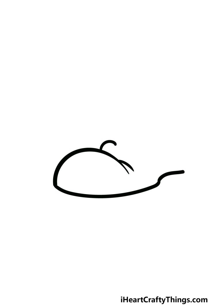 Cartoon Shoes Drawing - How To Draw Cartoon Shoes Step By Step