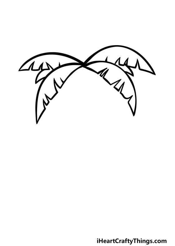 Cartoon Palm Tree Drawing - How To Draw A Cartoon Palm Tree Step By Step!