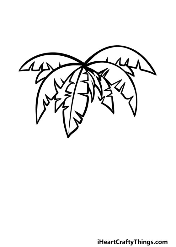 Cartoon Palm Tree Drawing - How To Draw A Cartoon Palm Tree Step By Step!