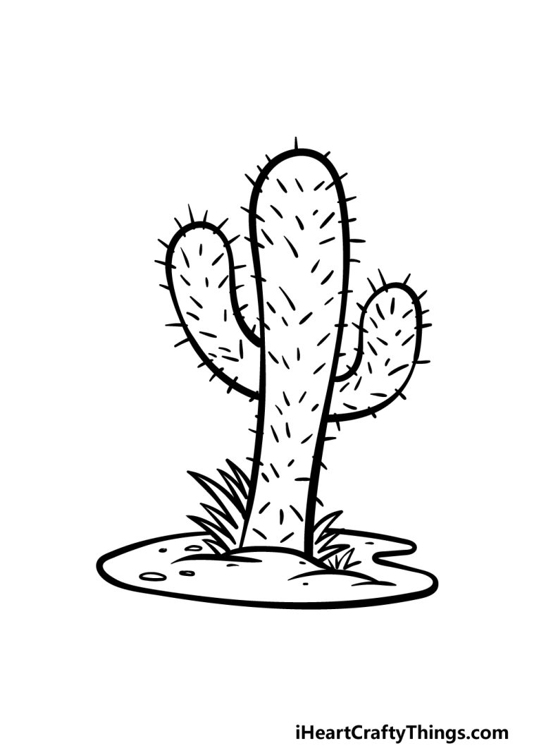 Cartoon Cactus Drawing - How To Draw A Cartoon Cactus Step By Step!