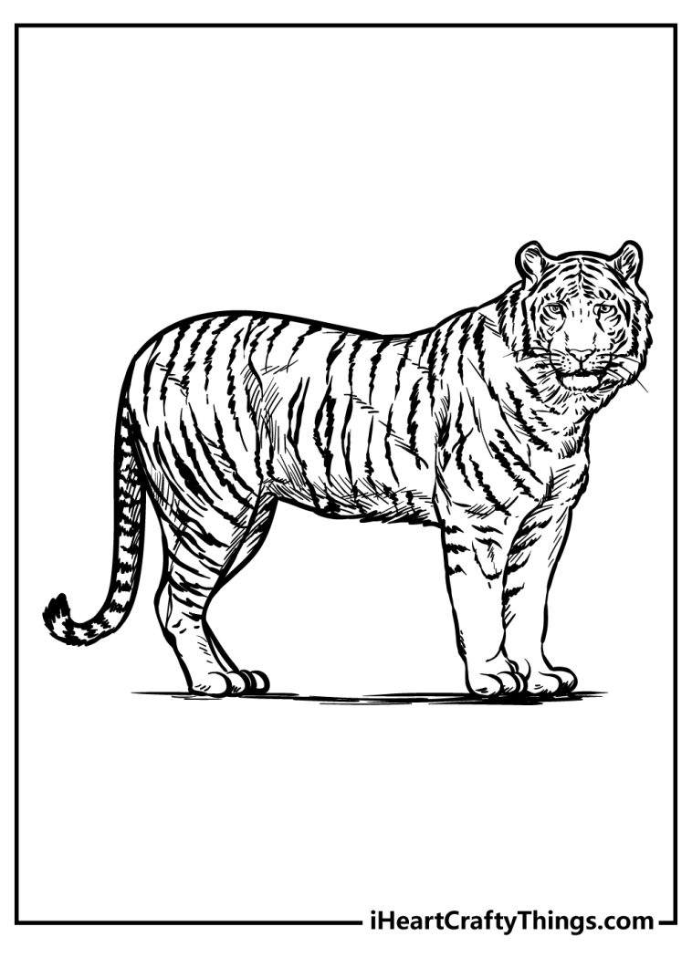 200+ Zoo Animals Coloring Pages (100% Free Printables)